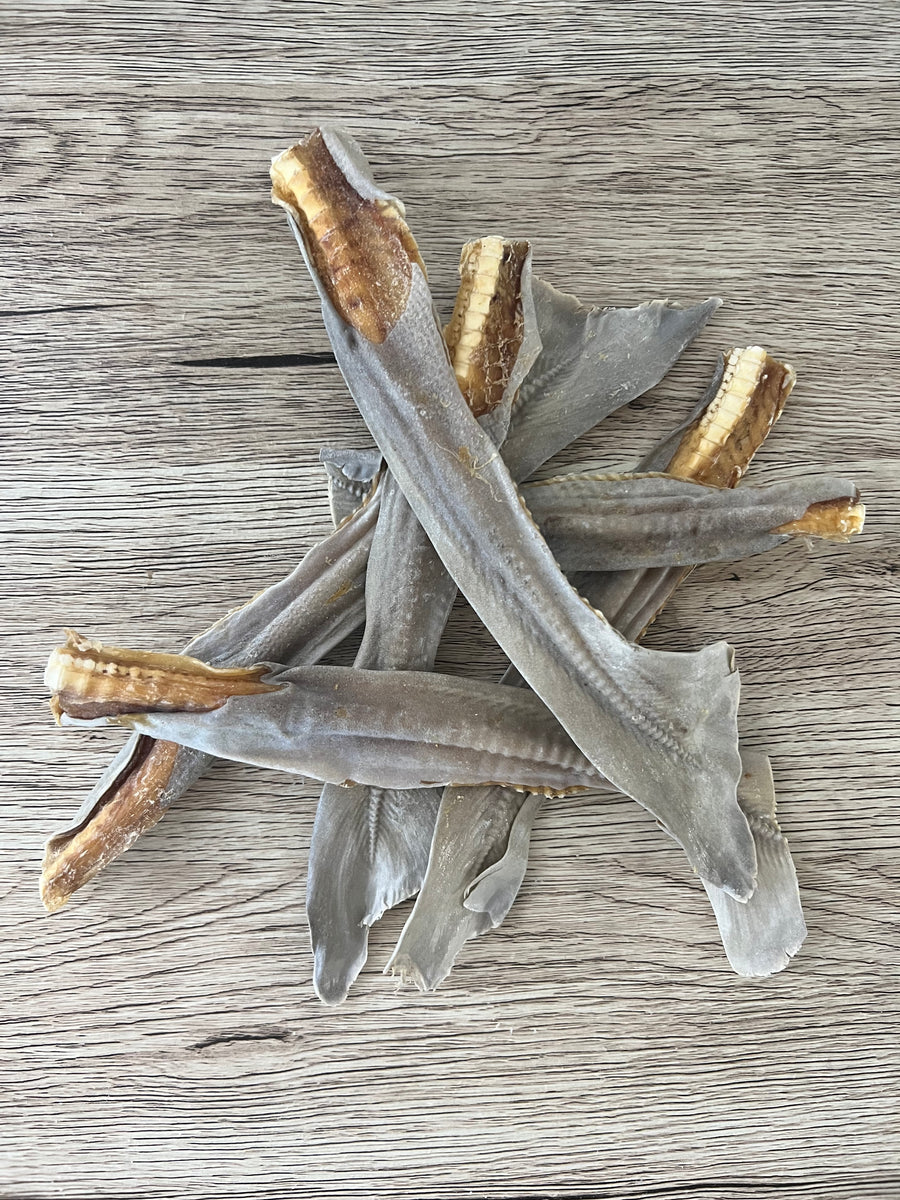 Shark Tails – Koda's Kitchen