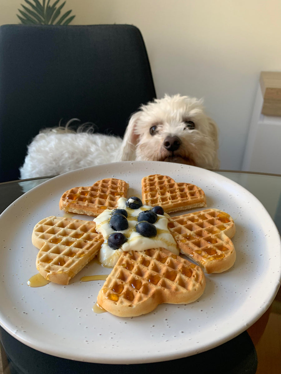 Woofles – Koda's Kitchen