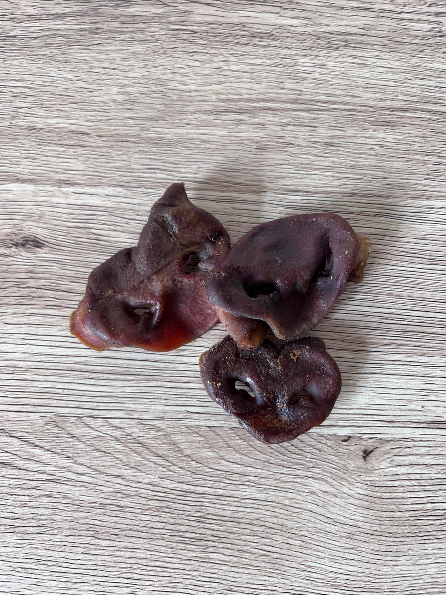 Pig Snouts – Koda's Kitchen